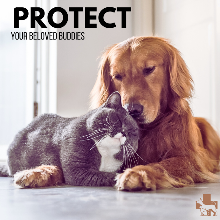 Builder’s Grade vs. Custom: Knowing Your Kitchen and Bathroom for Home ...